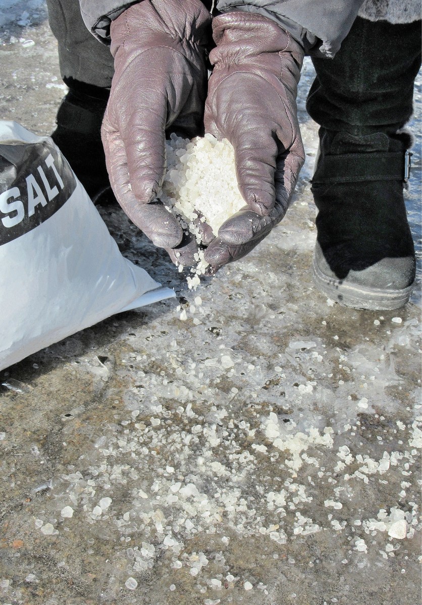 What to do with your leftover salt at the end of the season – I am ...